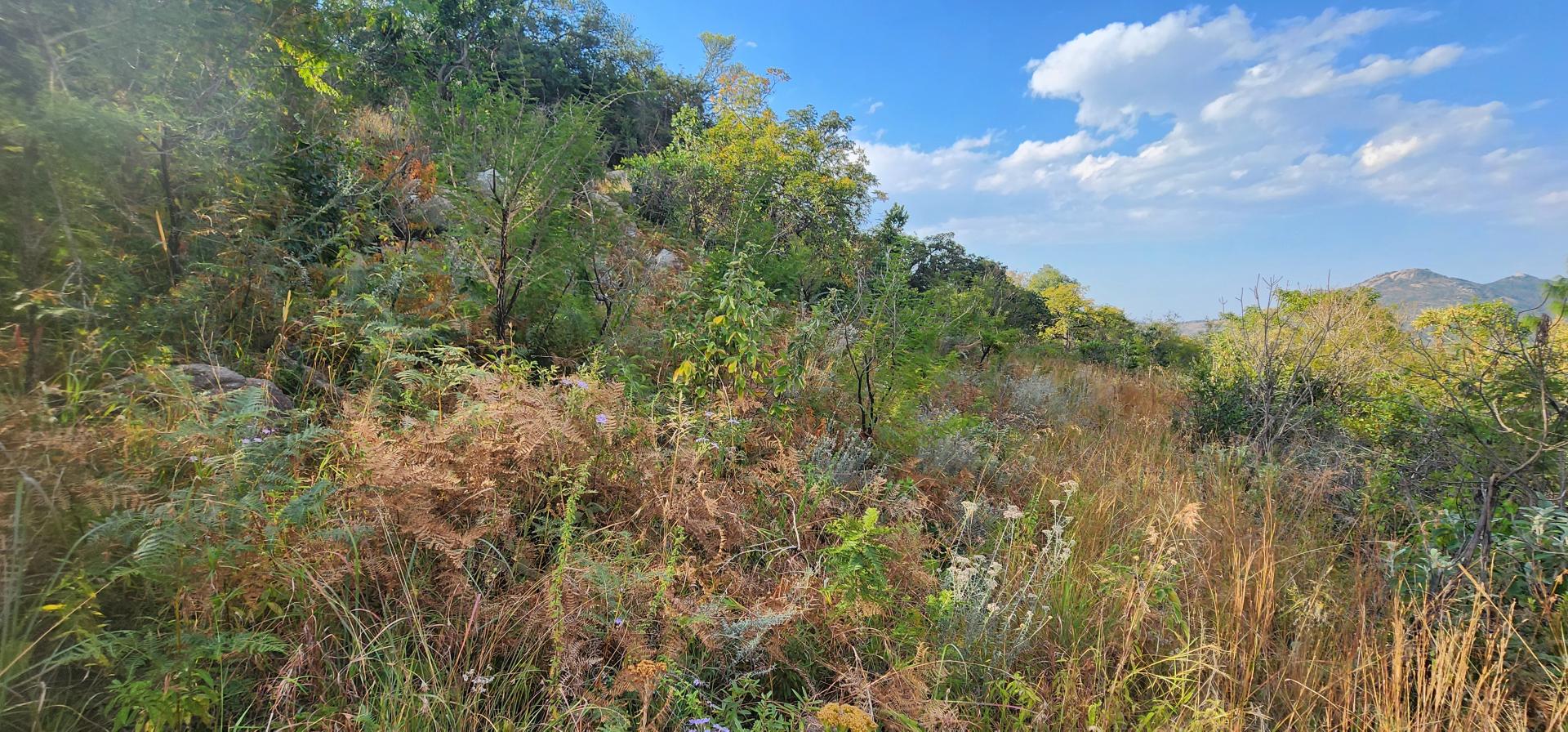 Property for sale , Renosterkop, Nelspruit | Fine & Country